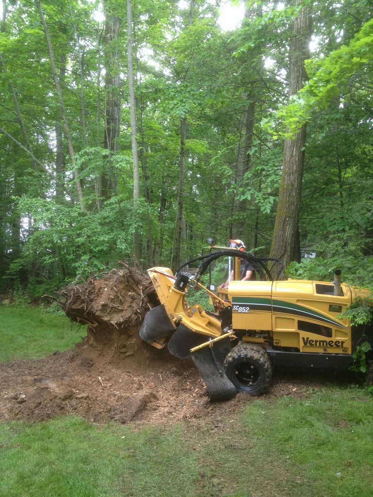 Expert Tree Stump Grinding Services, Danbury & Woodbury CT | Barts Tree ...