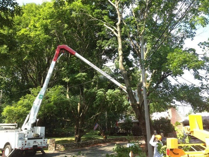 Cleaning Up Storm Damage After Thunderstorms - Barts Tree Service