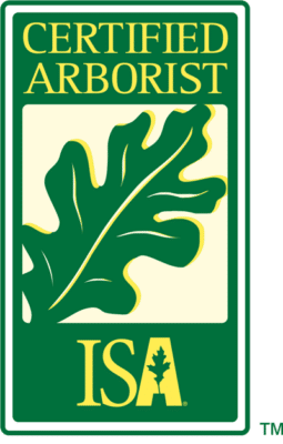 Barts Tree Service - Danbury, Woodbury & Surrounding Areas of Connecticut